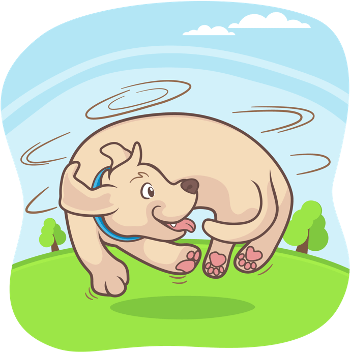 Download Dog In A Park Chasing Its Own Tail - Dog - Full Size PNG Image ...
