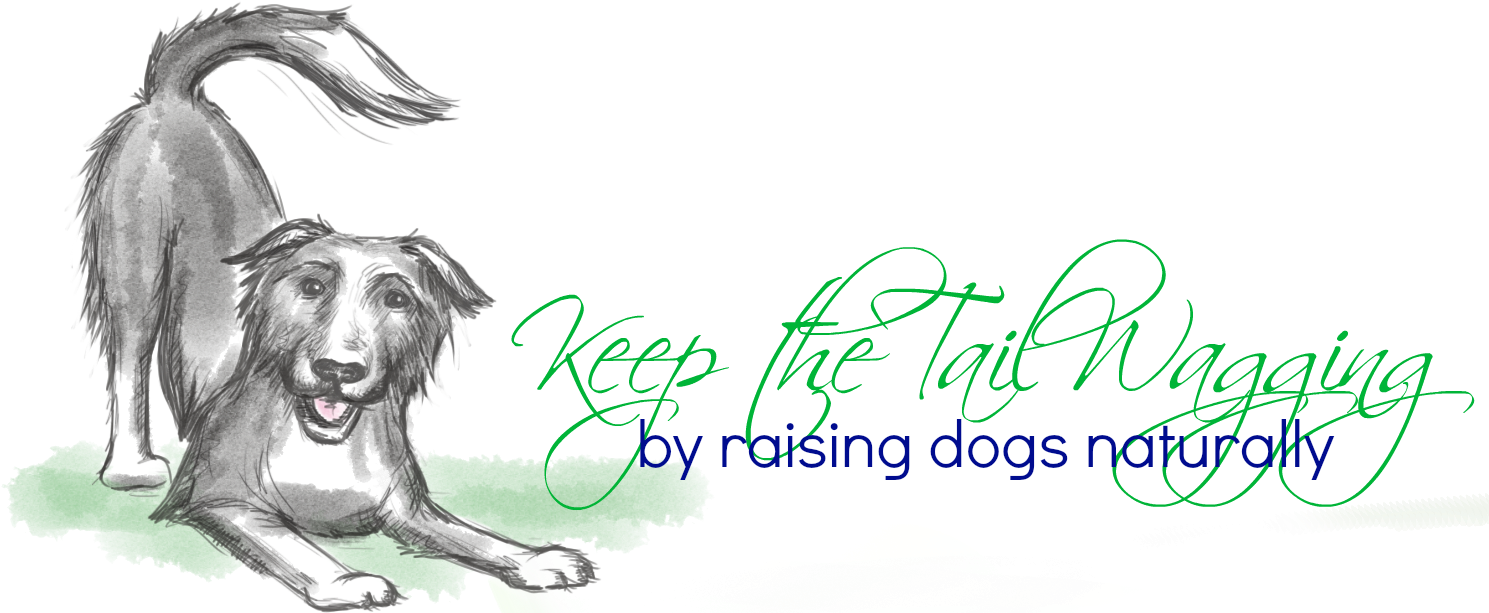 Download Keep The Tail Wagging By Raising Dogs Naturally - Fsss Ltd The ...