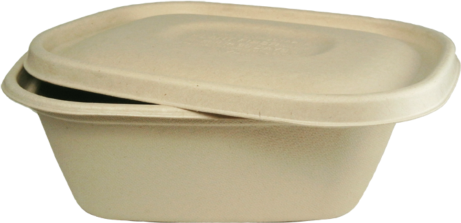Download 8" X - Compostable Salad Containers - Full Size PNG Image - PNGkit