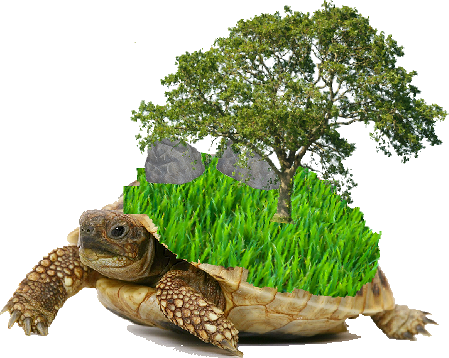 Download #torterraftw Hashtag On Twitter - Overwatch Elf On The Shelf ...