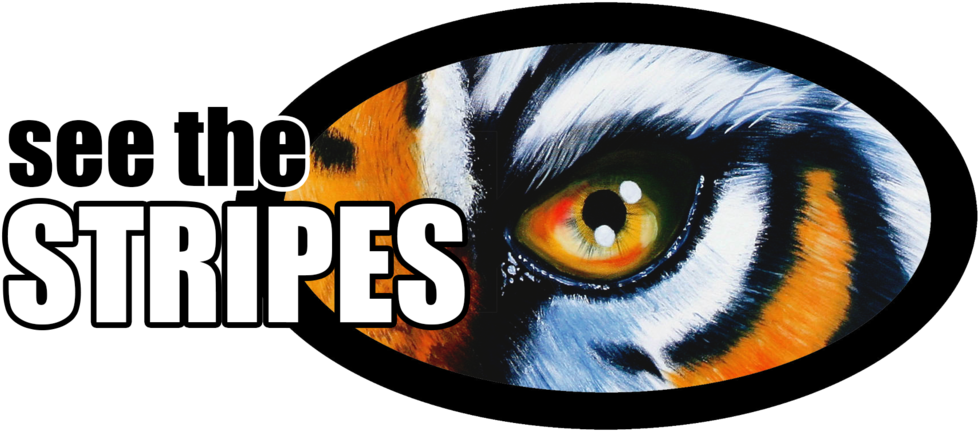 Download Within The General Student Population About Commonly - Lsu ...