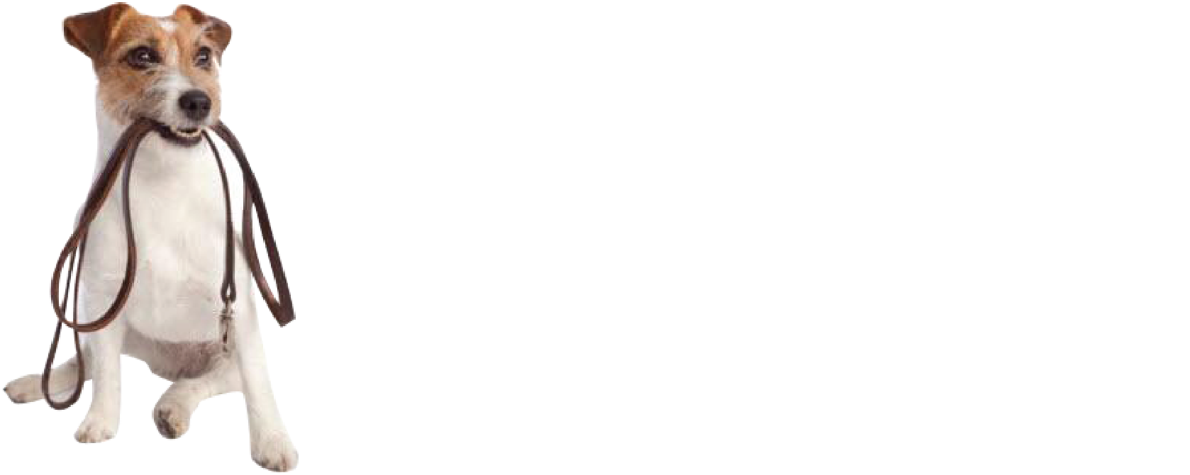 Download Dog Training Planner - Basic Dogs - Full Size PNG Image - PNGkit