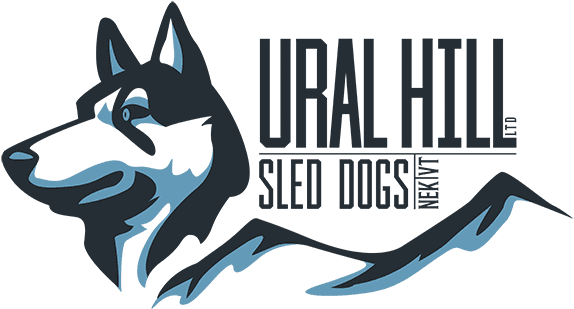 Download Husky Sled Logo - Full Size PNG Image - PNGkit