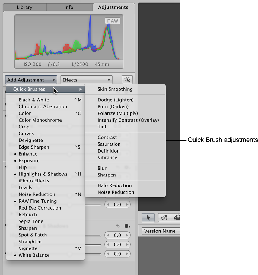 Download Adjustments Inspector Showing Quick Brush Adjustments - Brush ...