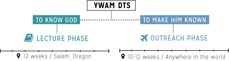 Download Dts-infographic - Phase - Full Size PNG Image - PNGkit