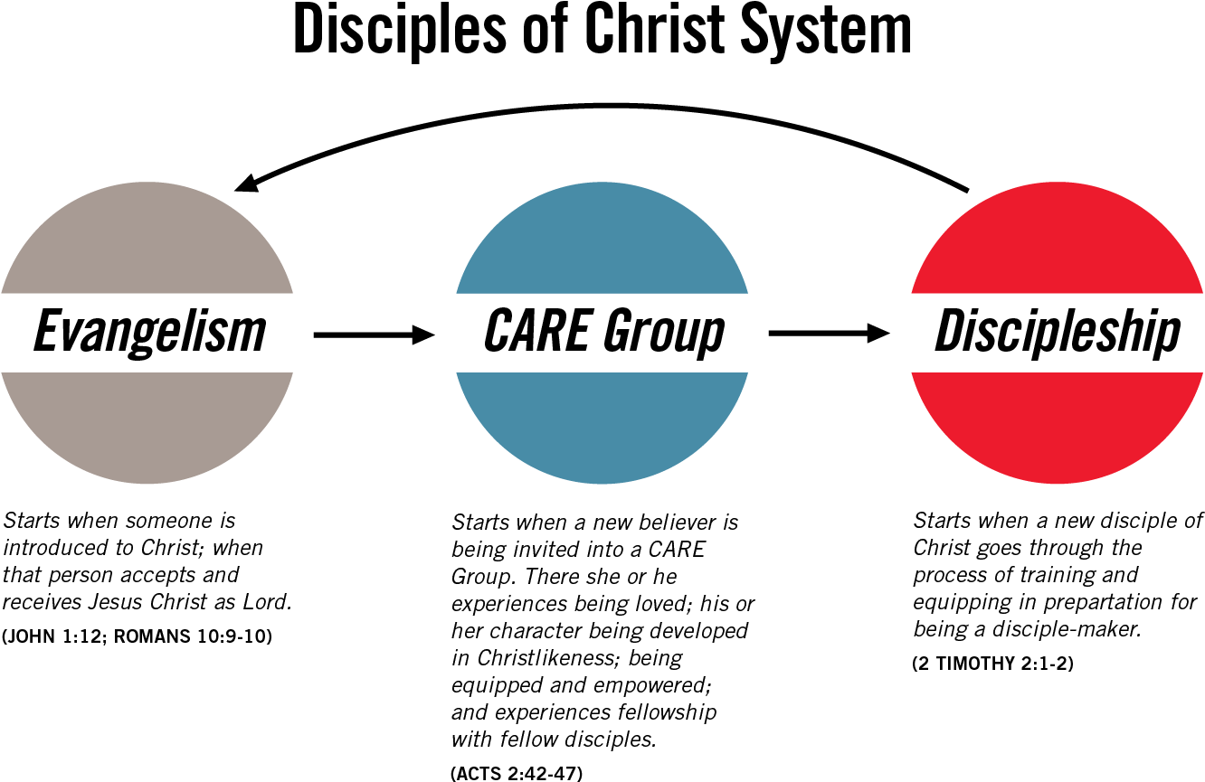 Download Discipleship System Model - Trail Running - Full Size PNG ...