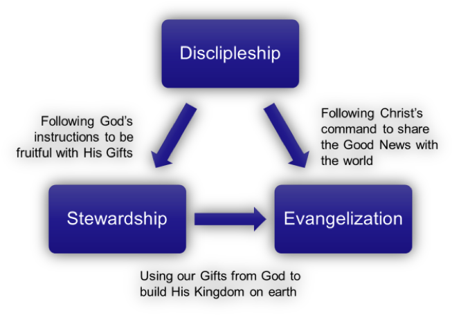 Download Discipleship, Stewardship And Evangelization - Diagram - Full ...