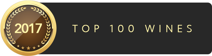 Download 2017 Top 100 Icon - The Hot 100 - Full Size PNG Image - PNGkit
