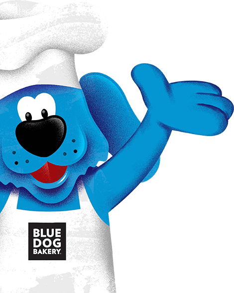 Download Answer Four Quick Questions About Your Dog And Find - Blue Dog ...