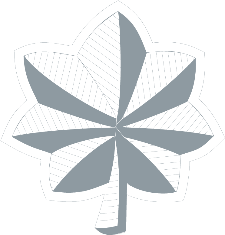 Download Lieutenant Colonel - Emblem - Full Size PNG Image - PNGkit