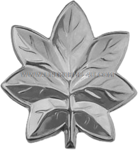 Download Navy / Uscg Commander And Usmc Lieutenant Colonel Garrison ...