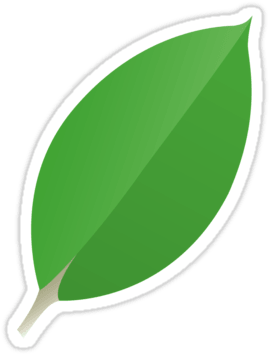 Download Mongodb Sticker - Mongodb Leaf - Full Size PNG Image - PNGkit
