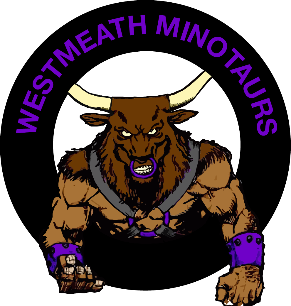 Download Minotaurs - Bull - Full Size PNG Image - PNGkit