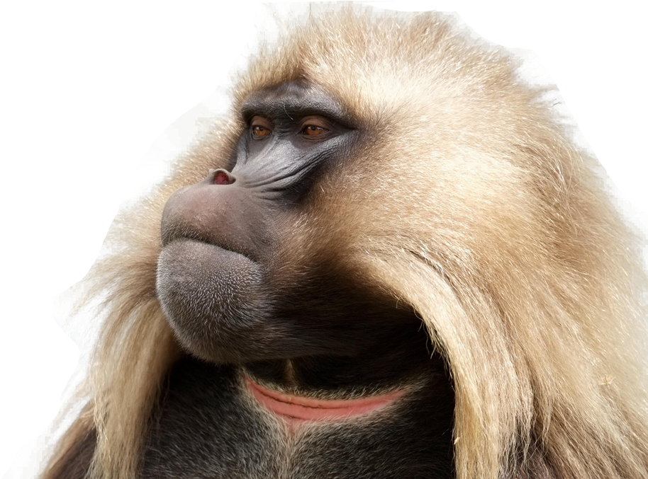 Download Semien Mountains - Full Size PNG Image - PNGkit