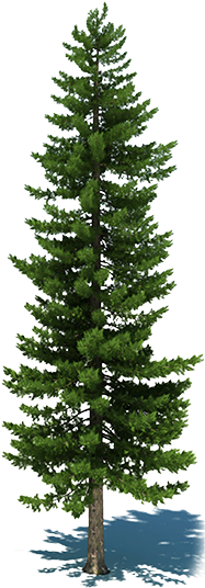 Download About Panagbenga - Christmas Tree - Full Size PNG Image - PNGkit