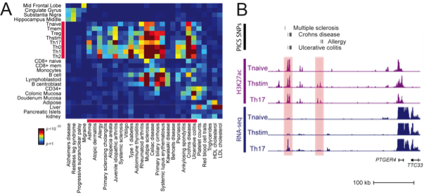 Download A) Heatmap Displays The Correlation Between Fine-mapped - Snp ...