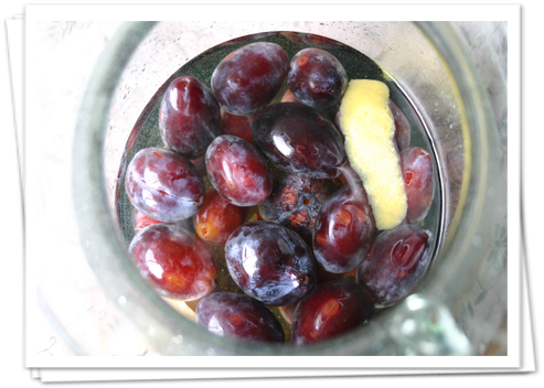 Download Recipe - Damson - Full Size PNG Image - PNGkit