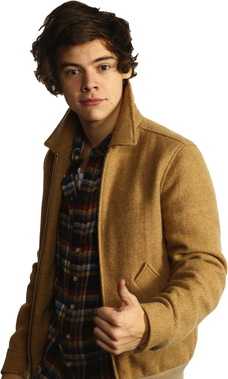 Download Harry One Direction Png - Full Size PNG Image - PNGkit