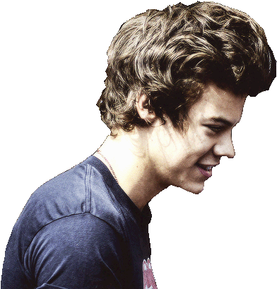 Download Harry Styles Transparent Png Transparent One Direction - Harry ...