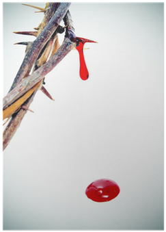 Download Jesus Blood - Full Size PNG Image - PNGkit