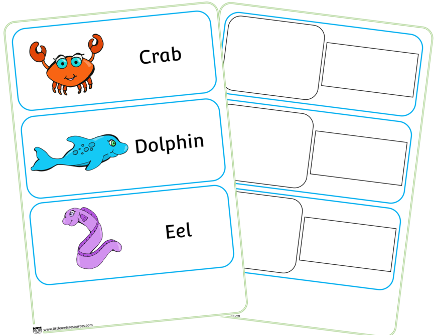 Download Sea Animal/creature Word Cards - Sea - Full Size PNG Image ...