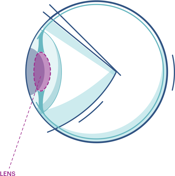 Download Illustration Of Any Eye Highlighting The Lens - Circle - Full ...