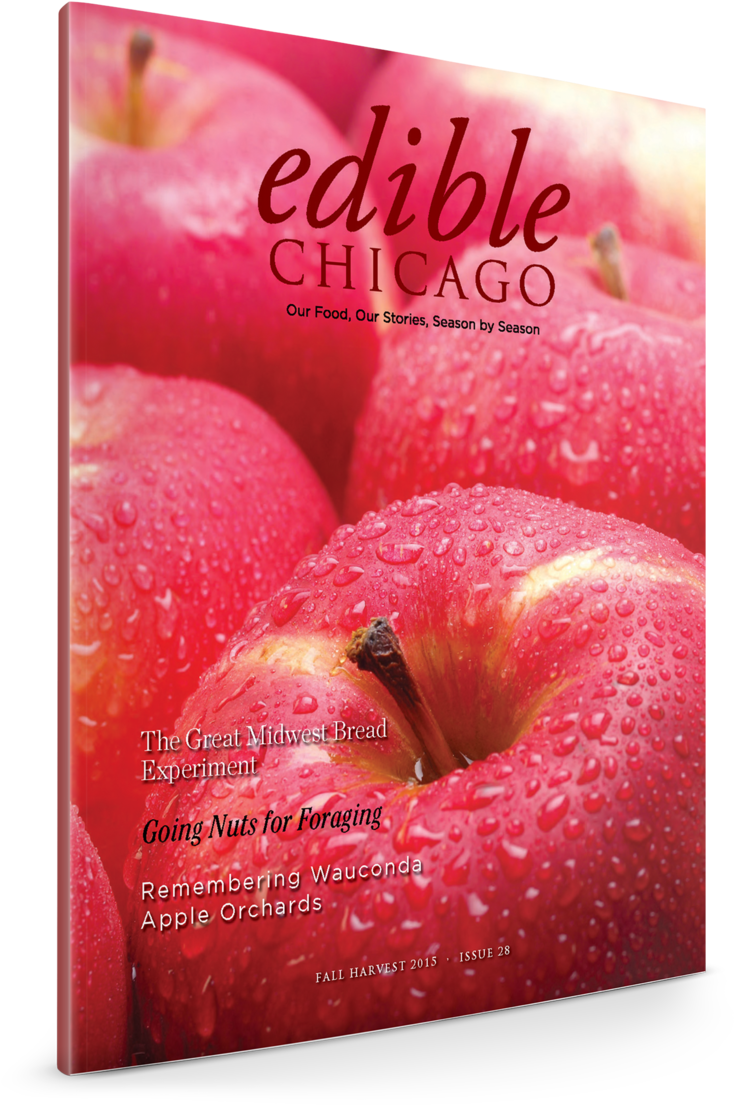 Download Book 1-2 - Full Size PNG Image - PNGkit