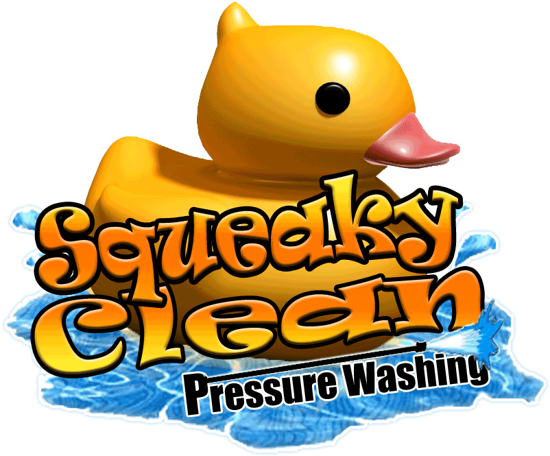 Download Pressure Washing - Full Size PNG Image - PNGkit