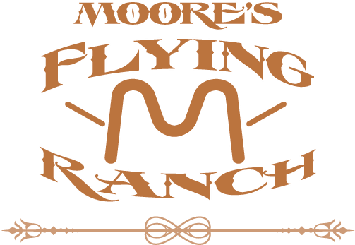 Download Moore's Flying M Ranch - Flying M Cattle Brand - Full Size PNG ...