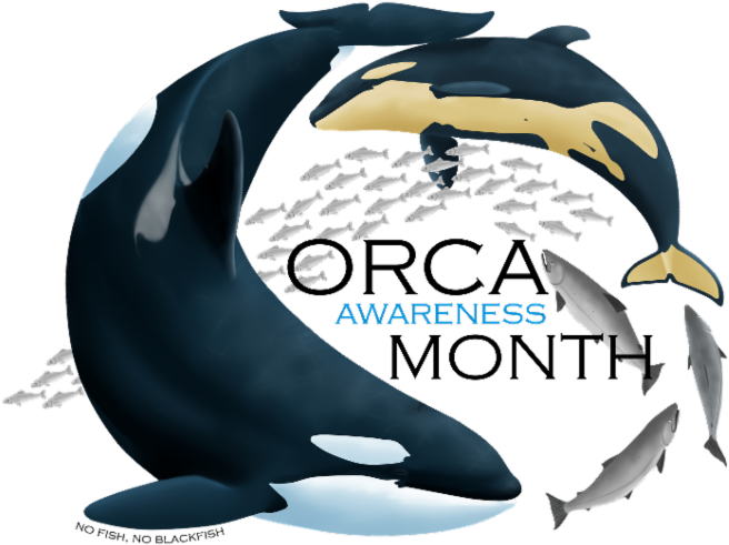 Download Month - Orca Awareness Month 2018 - Full Size PNG Image - PNGkit