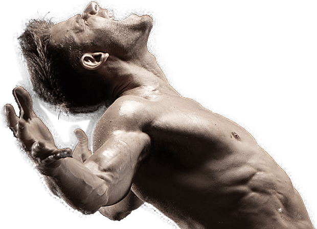 Download Anarchy Abs Is A Rapid Fat Burning, Six Pack Shredding ...