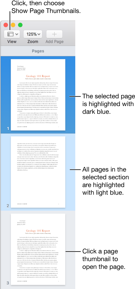 Download The Thumbnail Sidebar With The Selected Page Highlighted ...