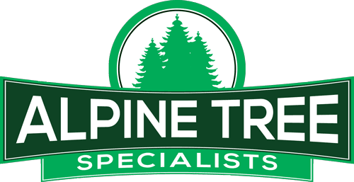 Download Hovertrain - Full Size PNG Image - PNGkit