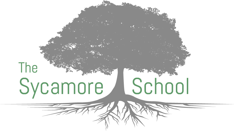 Download Sycamore School - White Pine - Full Size PNG Image - PNGkit