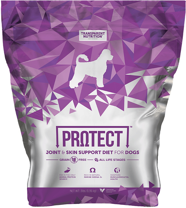 Download Faqs - Dog - Full Size PNG Image - PNGkit