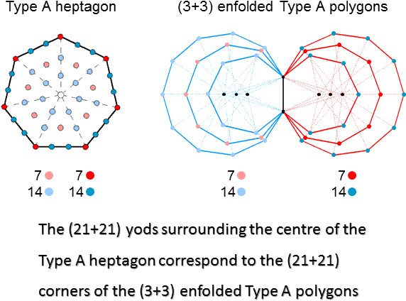 Download Yods In Type A Heptagon Correspond To (21 - Polygon - Full ...