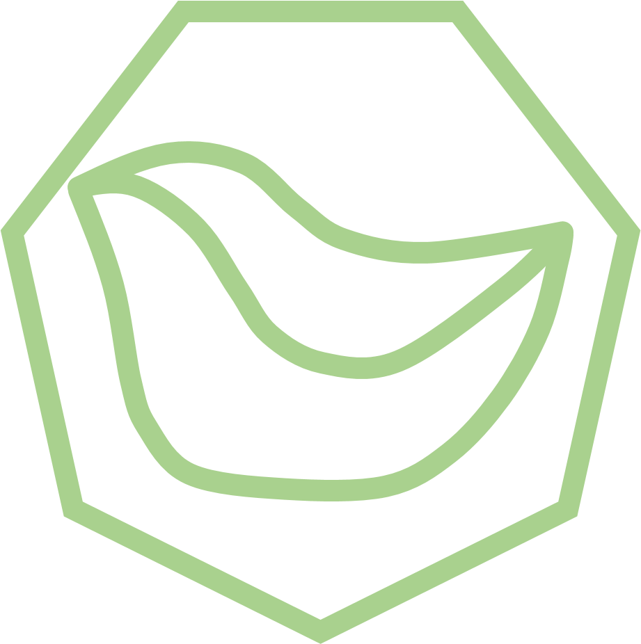 Download @got7official Transparent Logo - Got7 Bird - Full Size PNG ...