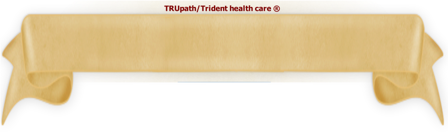 Download Scroll - Full Size PNG Image - PNGkit