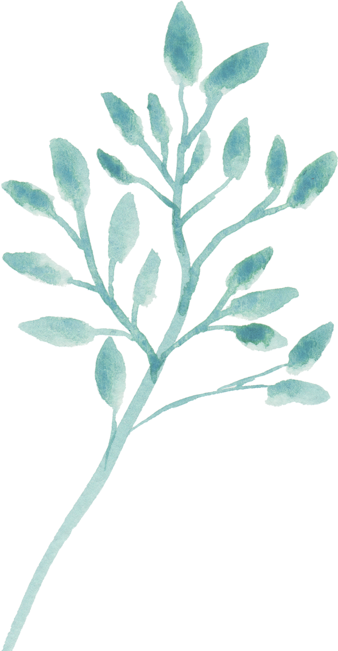 Download Ramas - Full Size PNG Image - PNGkit