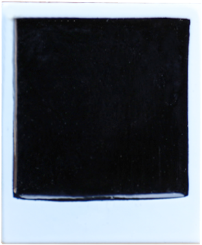 Download Image Of Polaroid - Purr - Full Size PNG Image - PNGkit