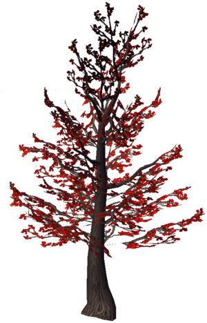 Download Tree - Red Pine - Full Size PNG Image - PNGkit