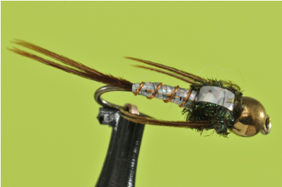 Download Silver Lightning Bug - Bozeman - Full Size PNG Image - PNGkit