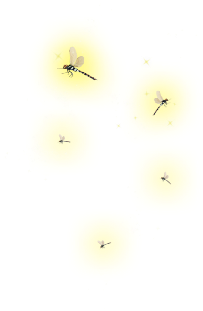 Download Edits Lightningbug Firefly Art Stickers - Fly - Full Size PNG ...