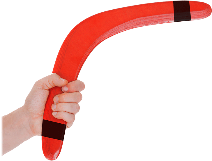 Download Barcode Systems Boomerang - Barcode System - Full Size PNG ...