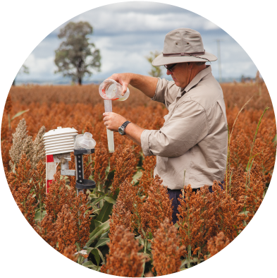 Download Uq And The Queensland Government's Investment In Qaafi - The ...