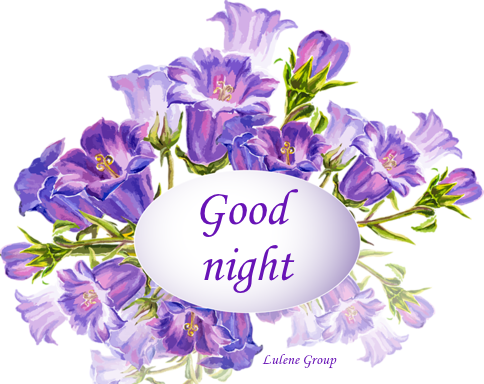 Download Flowers Good Night Images - Good Night Photo Flowers - Full ...