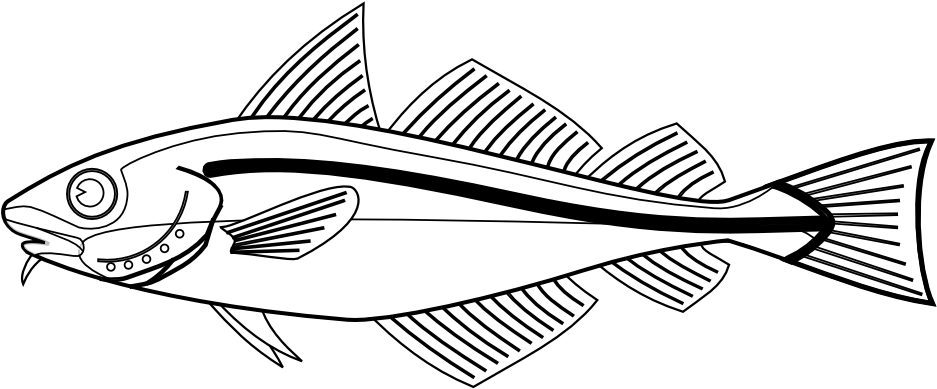 Download Codfish Black White Line Art 999px 109 - Cod Fish Coloring ...