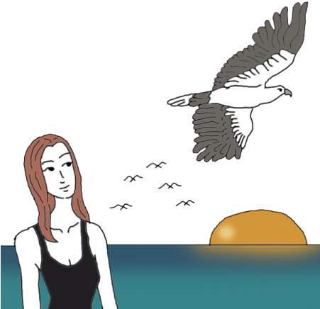 Download Sea Eagle - Illustration - Full Size PNG Image - PNGkit