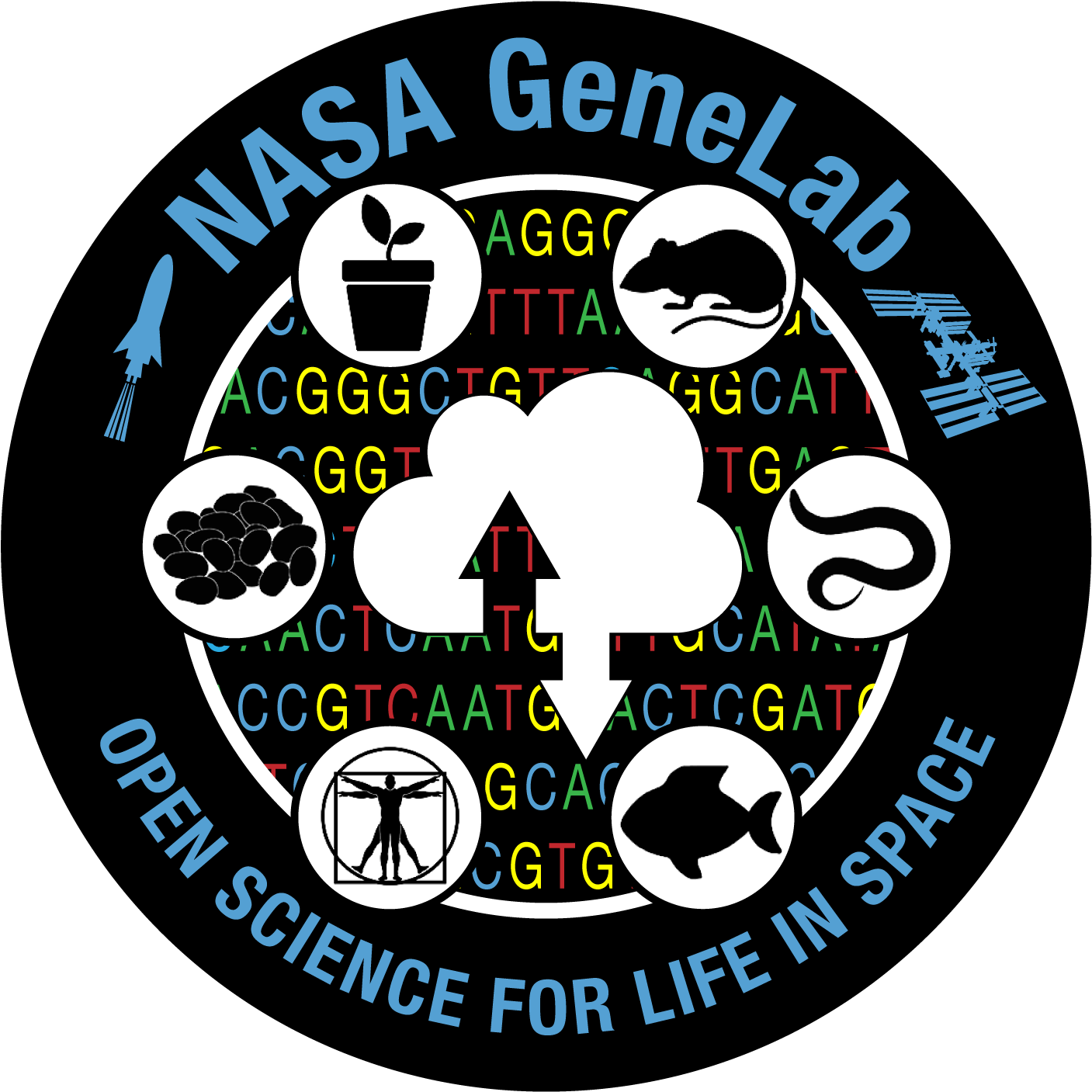 Download Nasa Genelab Open Science For Life In Spac - Genelab - Full ...