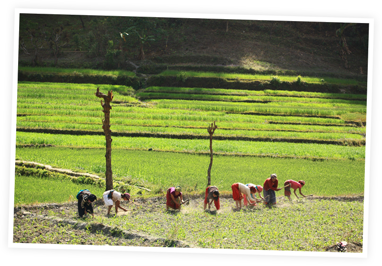 Download Community - Full Size PNG Image - PNGkit